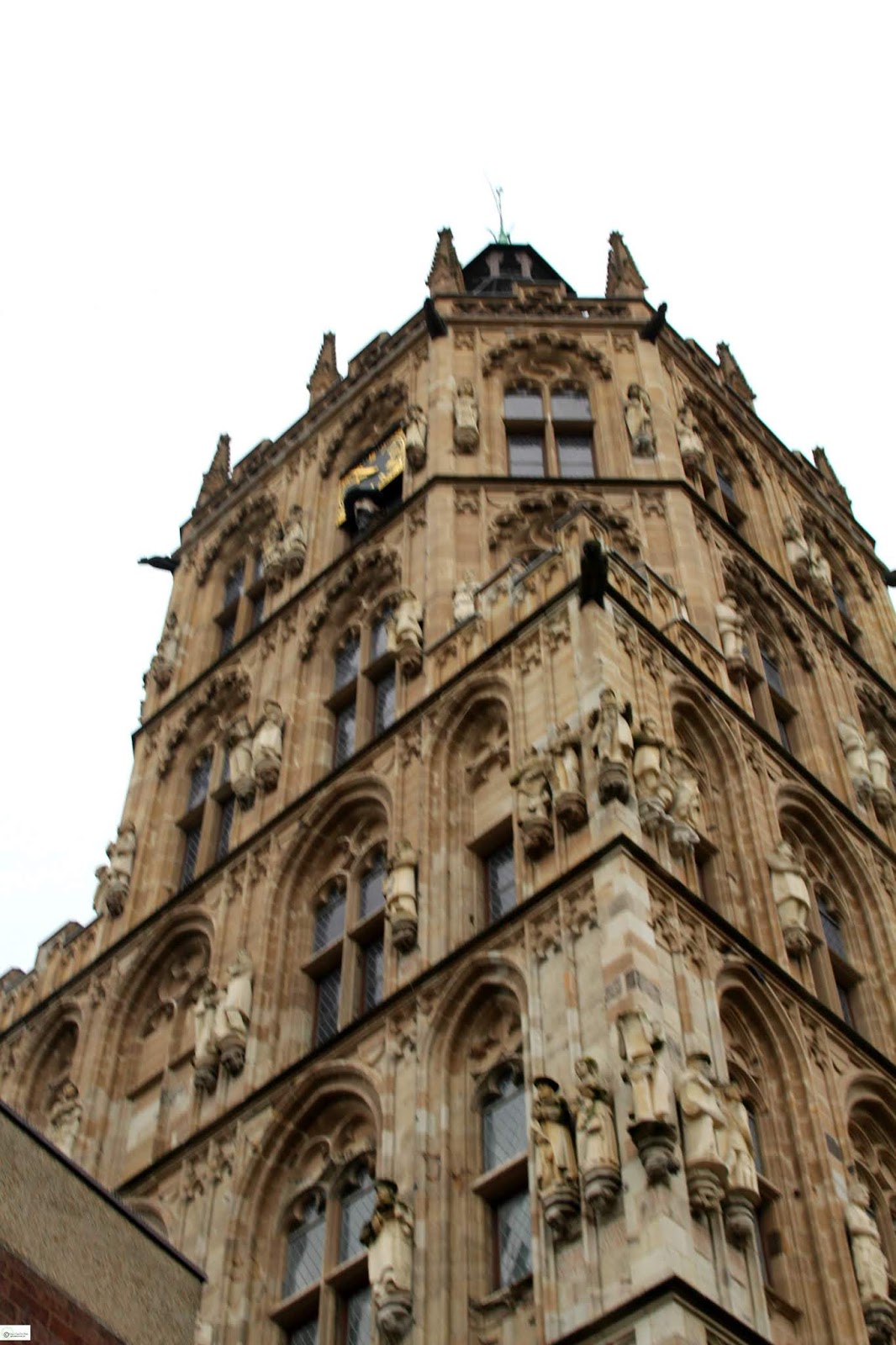 A Walk Through Cologne Square // Germany | Caravan Sonnet