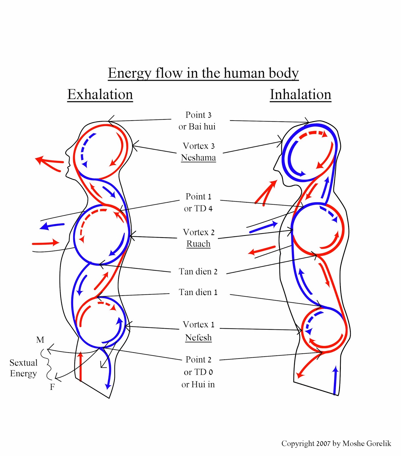 ISAI The Martial Art of Formless Flow: THE FRACTAL NATURE OF NATURAL MOTION