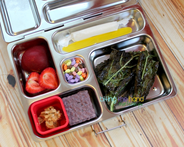 Biting The Hand That Feeds You: Planetbox Pods - We are GO for Lunch!