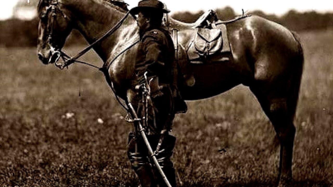 Cavalry in the American Civil War Horse - Horse Choices