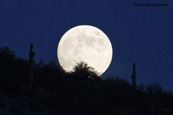 Shutterbug Generations: Full Moon Series - Days 243-245