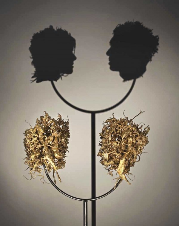 wearmelanina: TIM NOBLE & SUE WEBSTER