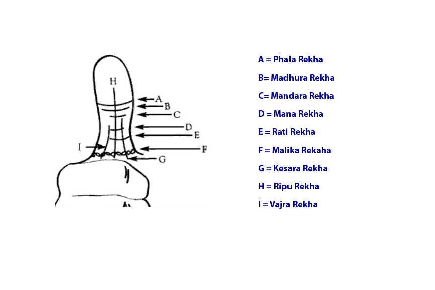 Sacred Science: Hast Rekha Sastra: Hindu Science of Palmistry