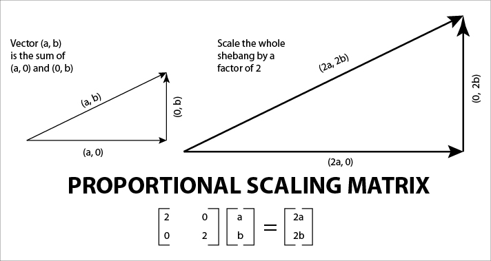 Hop's Blog: Matrices