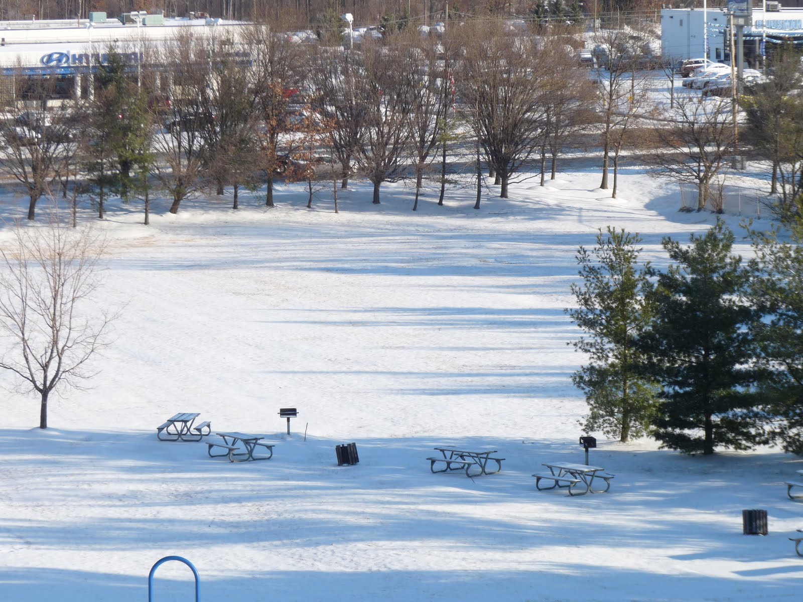 The Greenbelt: February 2011