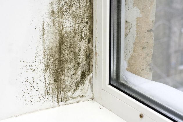 How to remove mildew stains from the wall | Home By Decor