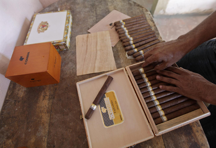 Havana - Bandar Cerut | Mr Labu Nak Cerita