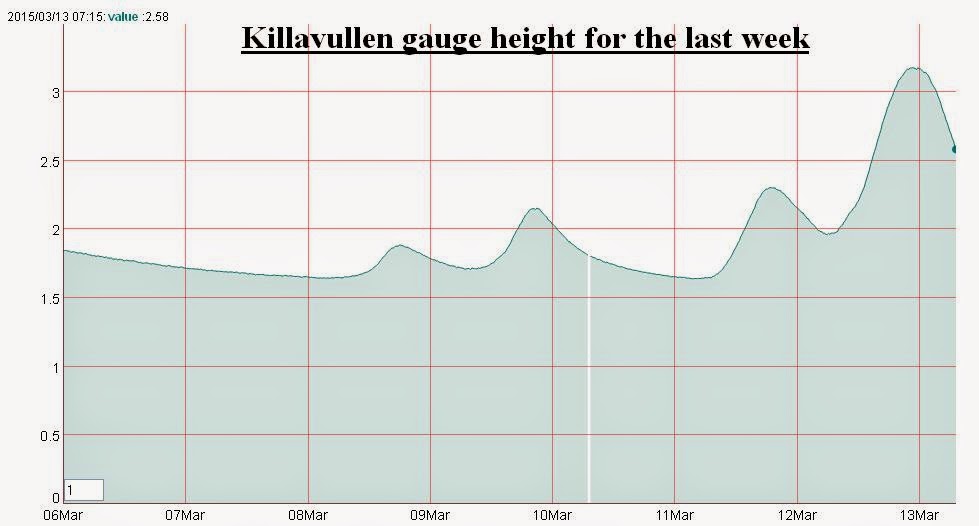 Blackwater Lodge Salmon Fishery: Friday the 13th. brings us the biggest ...