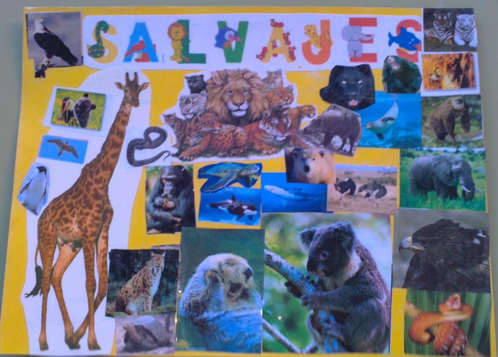 Mil recursos: LÁMINAS ANIMALES