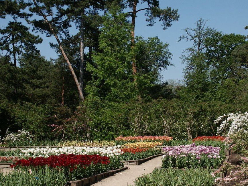 Paisatges i Jardins Landscapes and Gardens: Parc floral de Paris - France