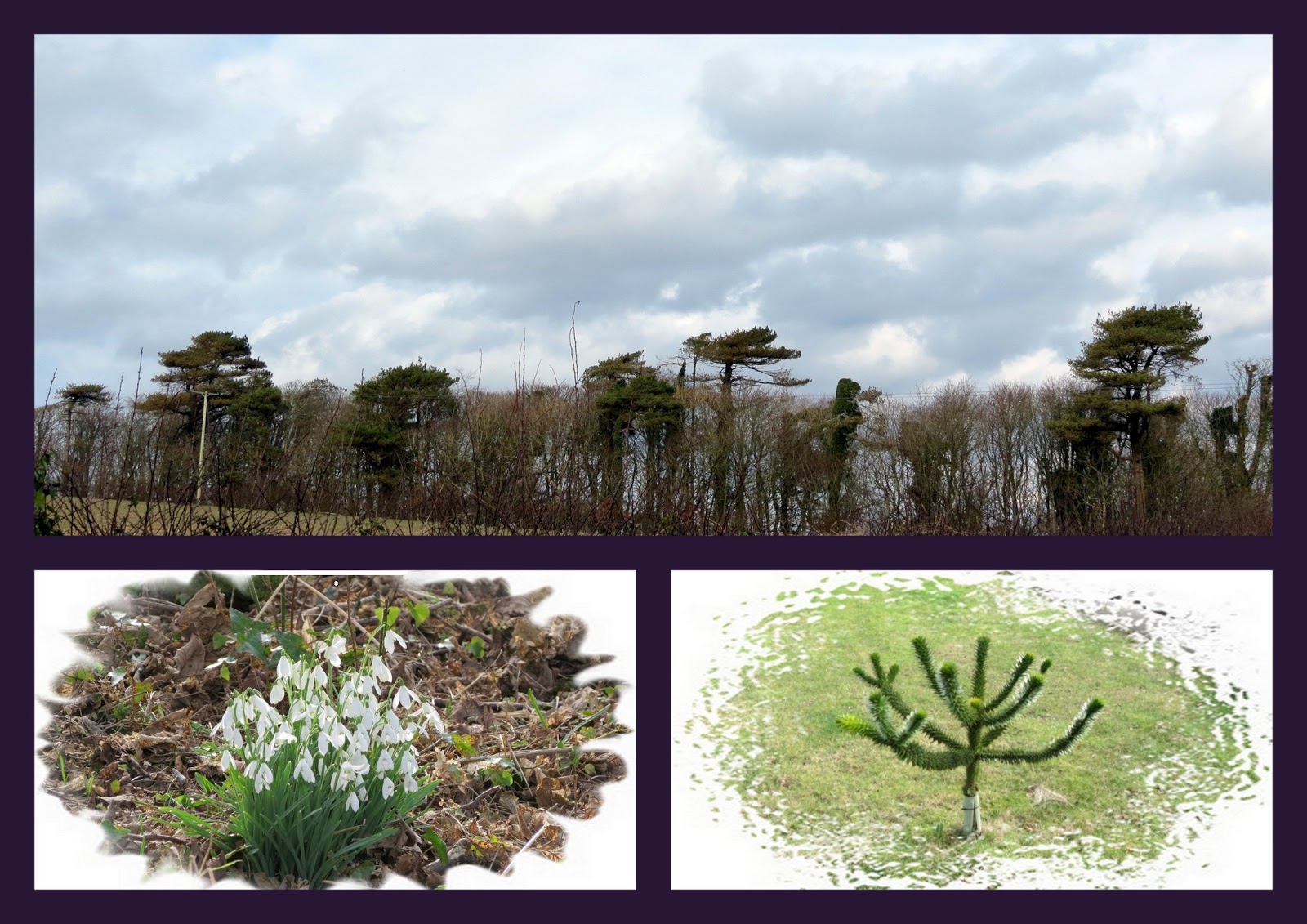 The Glebe Blog: 02/2013