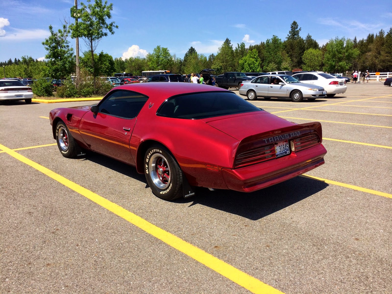 Seattle's Classics: 1978 Pontiac Firebird Trans Am