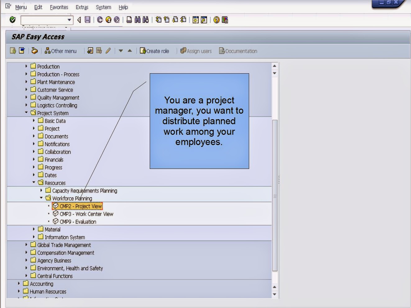 青蛙SAP分享 Froggy's SAP sharing: Work Force Planning in SAP Project System
