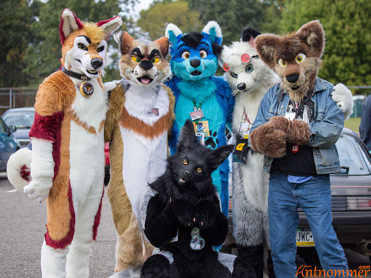 Just Anteater Things: Looking Back: Western Pennsylvania Furry Weekend