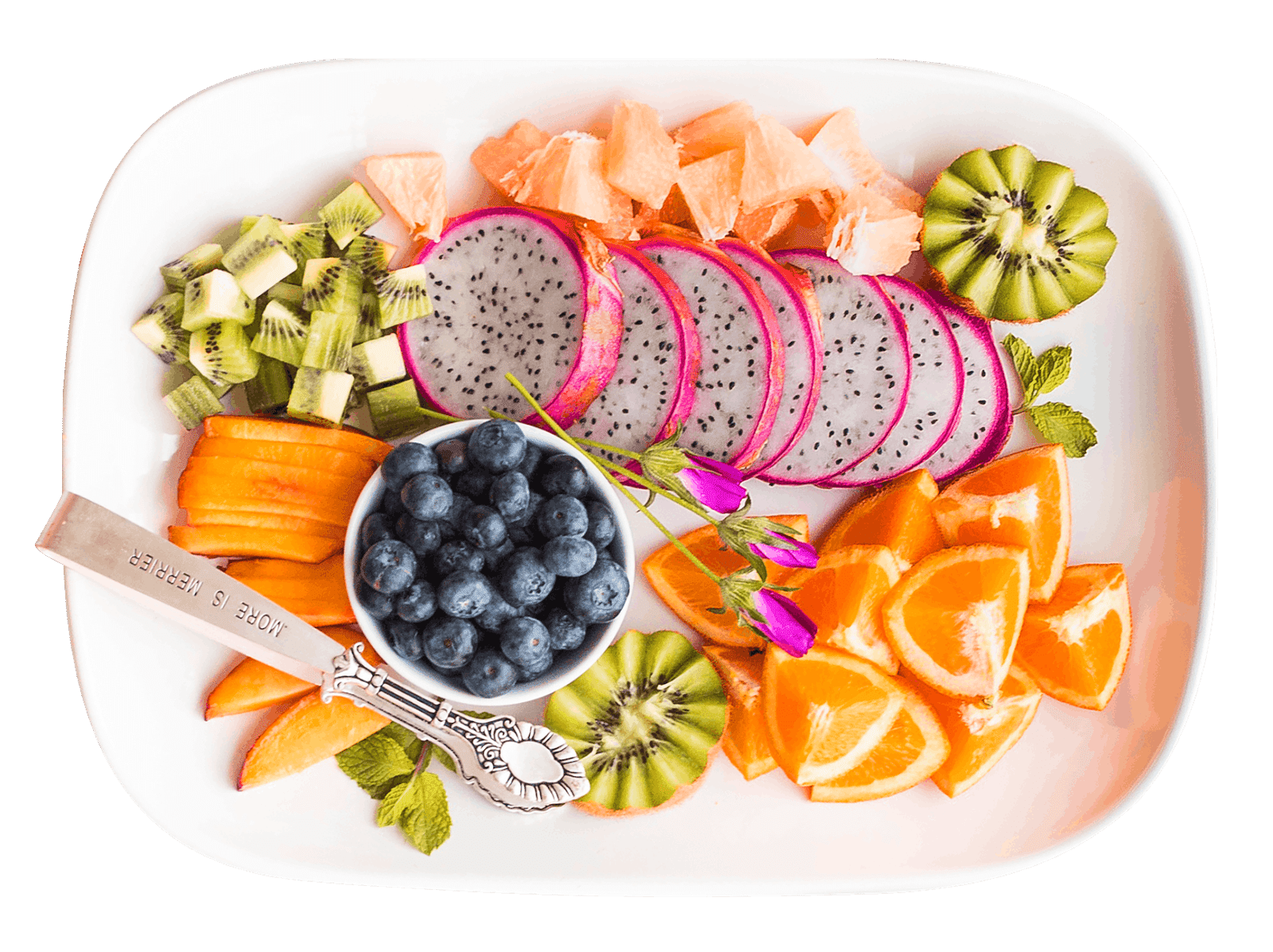 Lesson Plan Let s Eat Healthy Bonda lesson-plan-let-s-eat-healthy-bonda