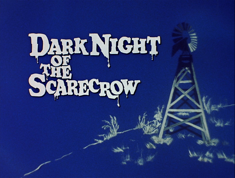 The Horrors of Halloween: DARK NIGHT OF THE SCARECROW (1981) Poster ...
