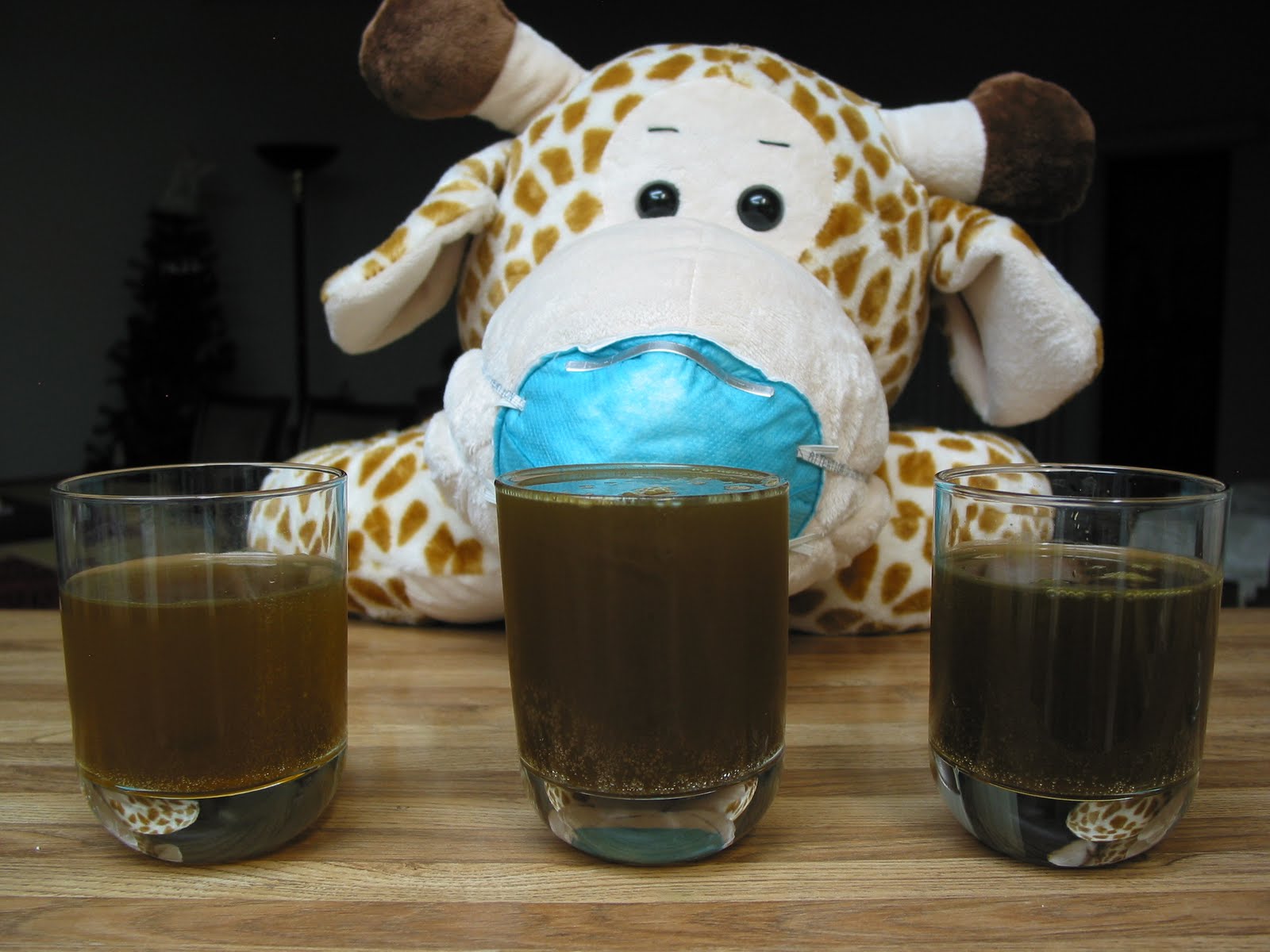 Stark Raving (Root Beer) Blog!: Fizzies (and SCIENCE!)
