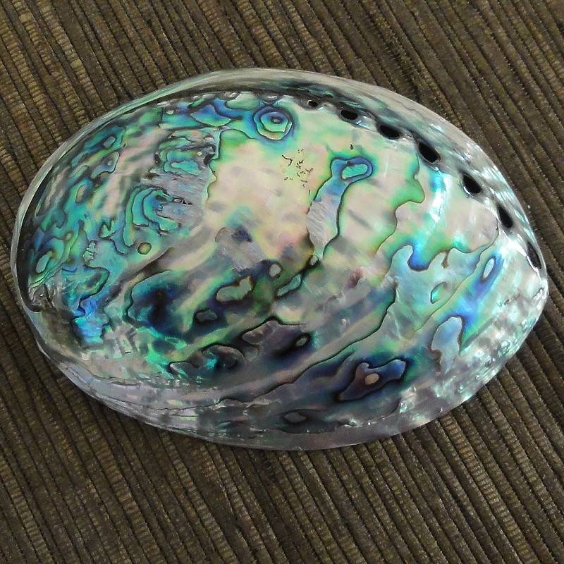 Snap Happy Birding: October 2011