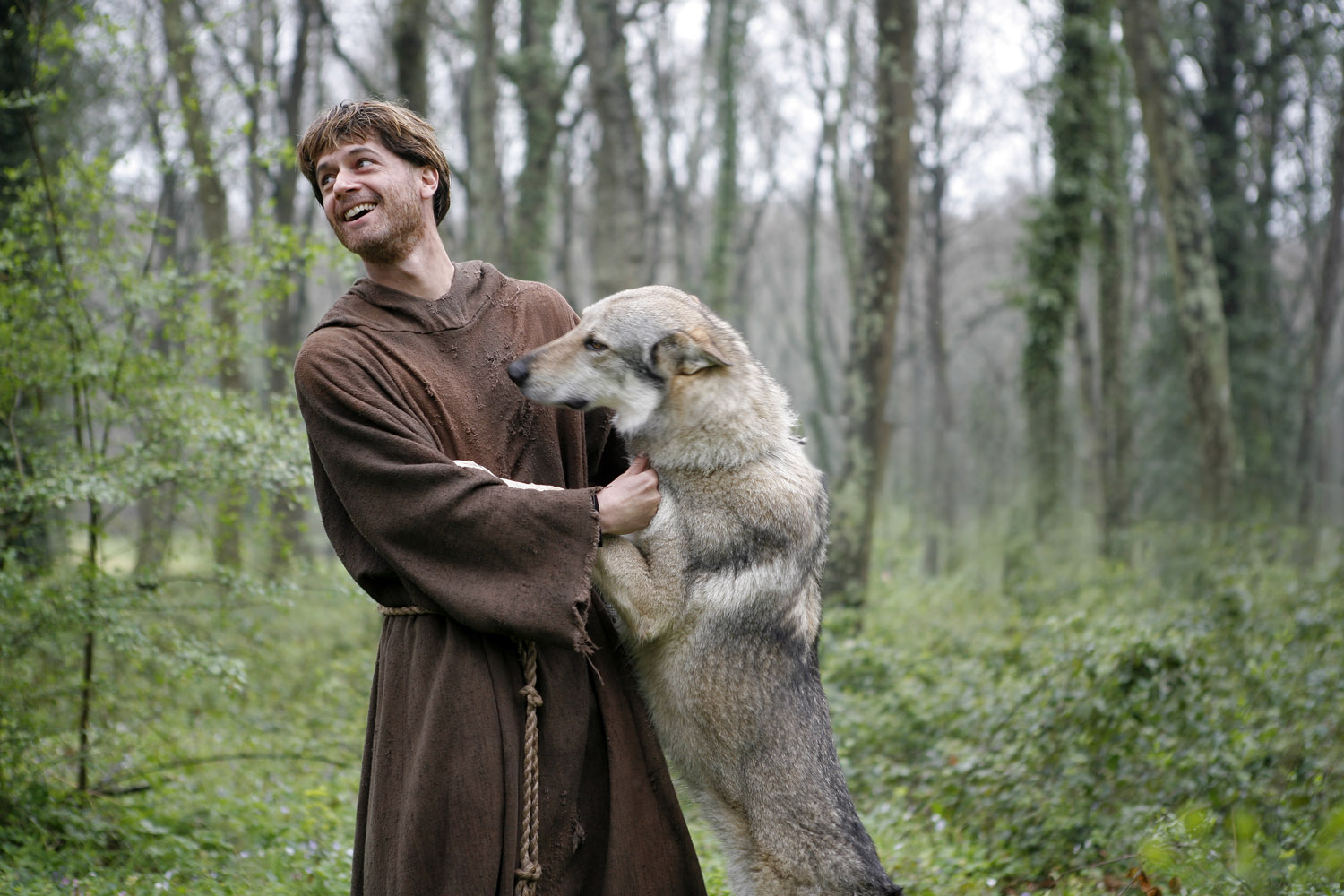 Veritas Ministeria: Francis of Assisi and the Wolf of Gubbio: A ...