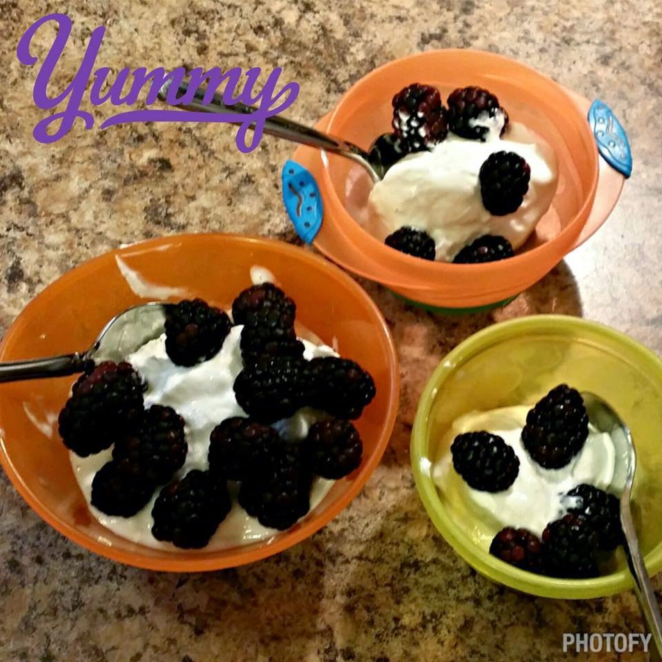 Clean Eating Meets Country Girl: What to look for when picking out yogurt