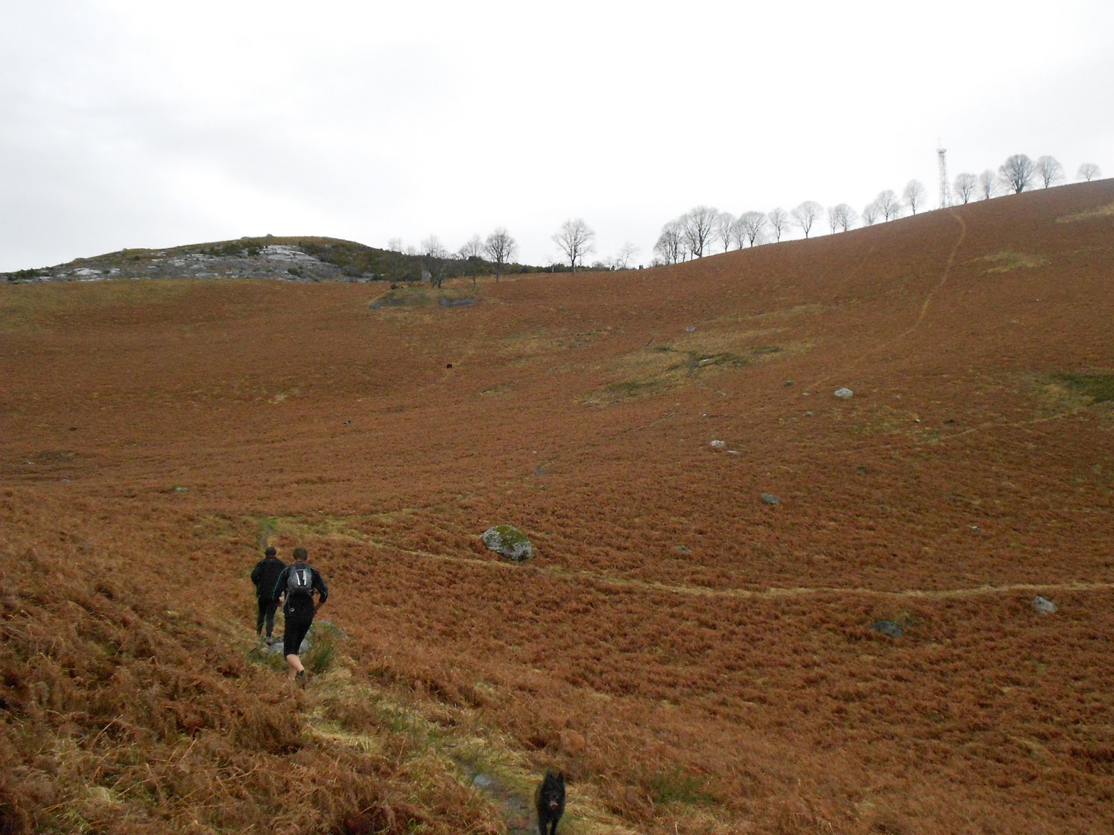 Montagne Passion Trail : Le Béout et le sentier découverte.