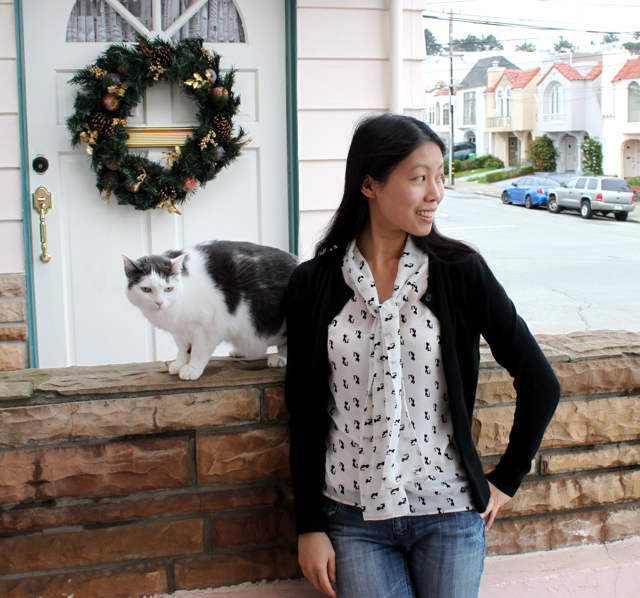 Cation Designs: Put a Cat on It!