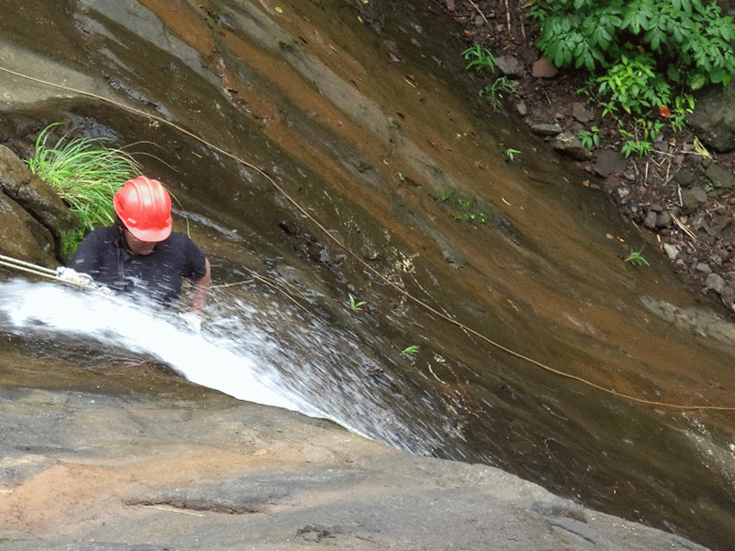 Nature Knights: Rappelling