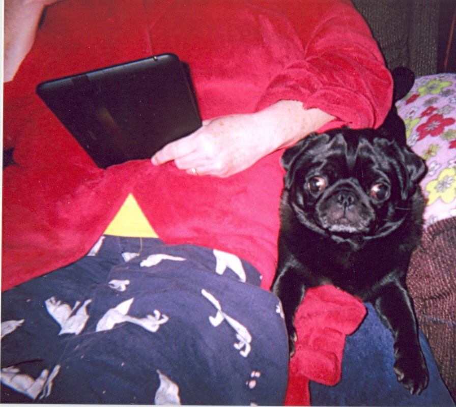 The Three Little Pugs: TGIF