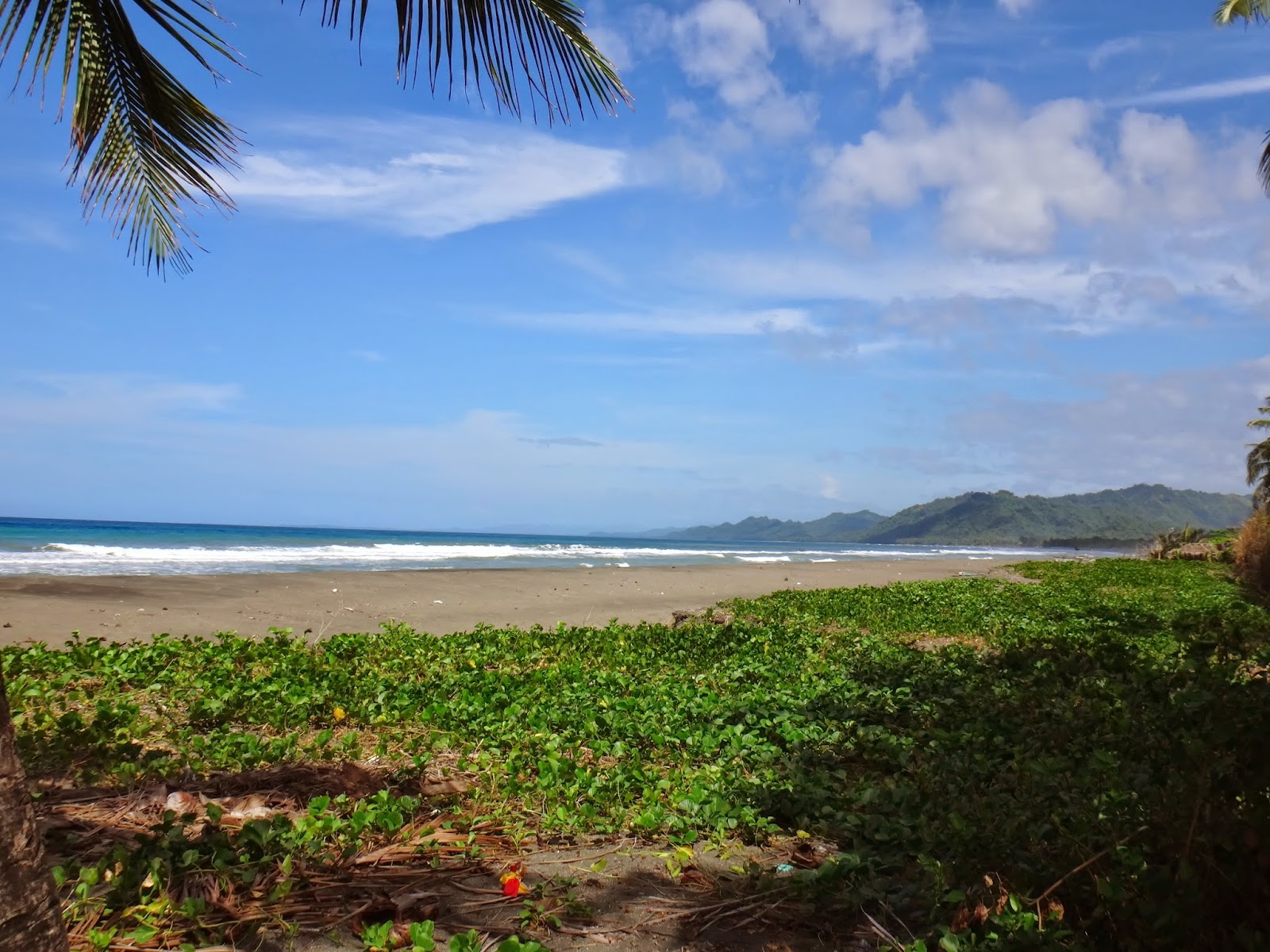 RD Traveller: January 2015