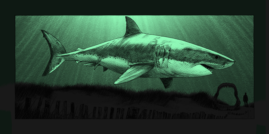 INSIDE THE ROCK POSTER FRAME BLOG: Dan McCarthy What Once Was Megalodon ...