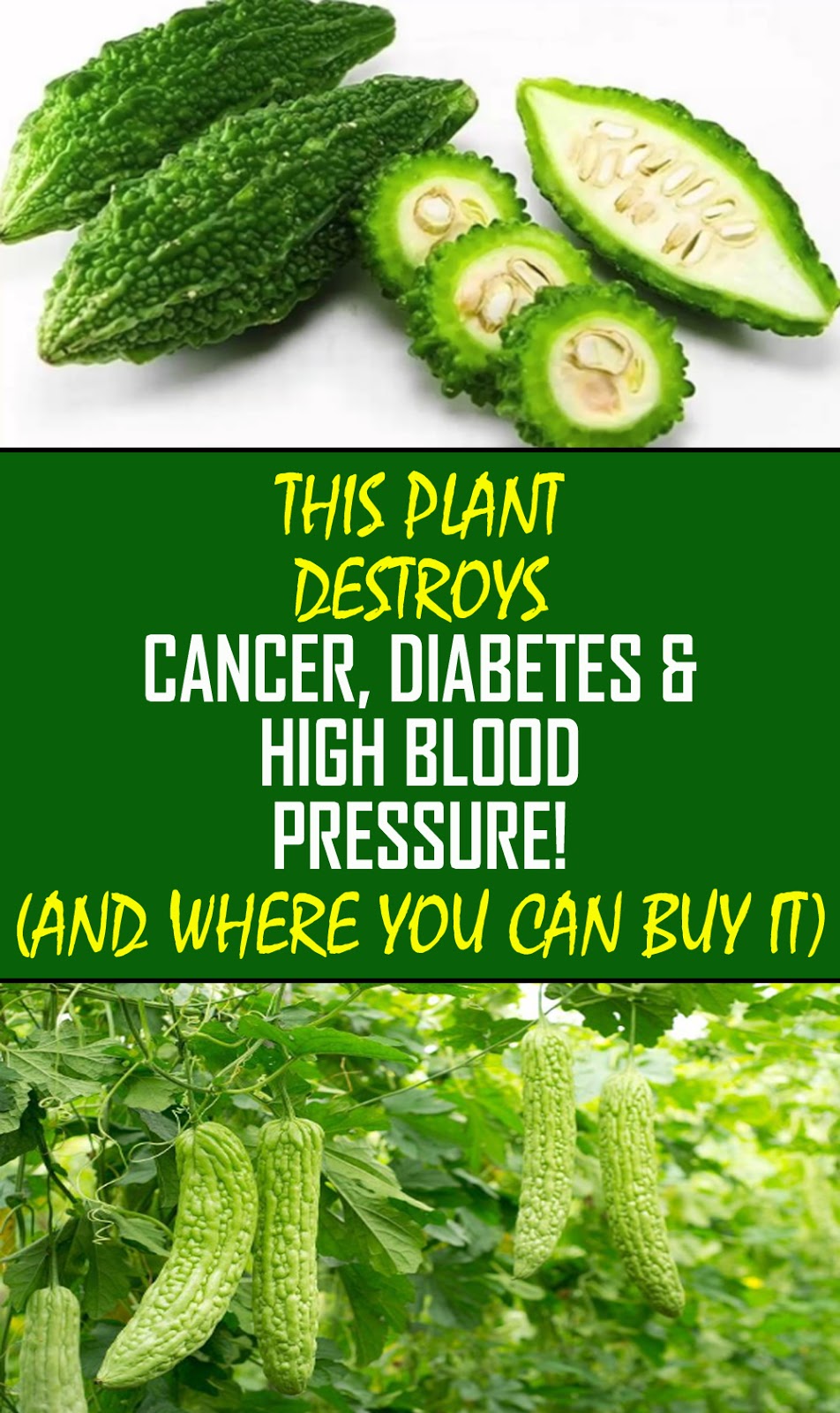 This Plant Destroys Cancer Diabetes And High Blood Pressure Food This Plant Destroys Cancer Diabetes And High Blood Pressure Food
