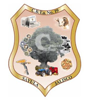 Carreras del cbta19: CARRERAS DEL CBTA19 SAYULA JALISCO