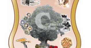 Carreras del cbta19: CARRERAS DEL CBTA19 SAYULA JALISCO