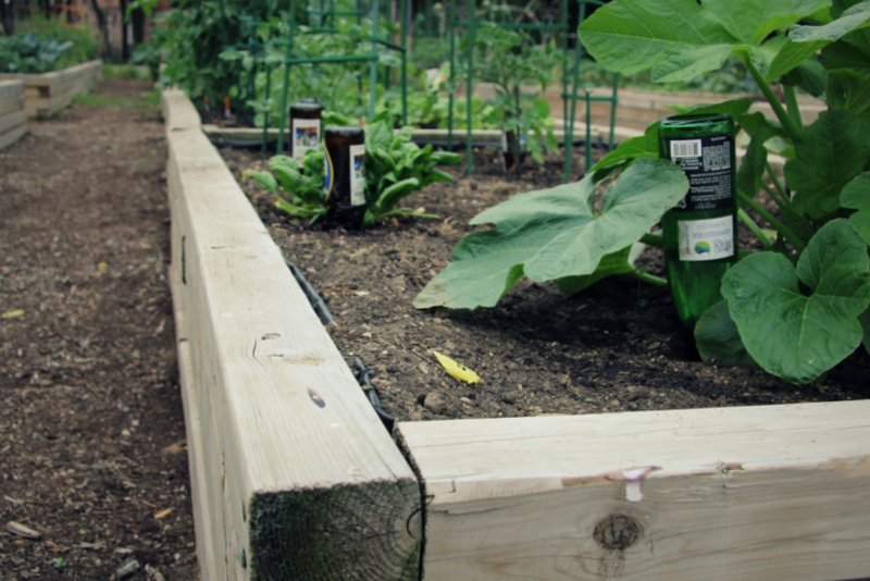 wanderCRAFT: Natural Detroit:: DIY Urban Garden Tour