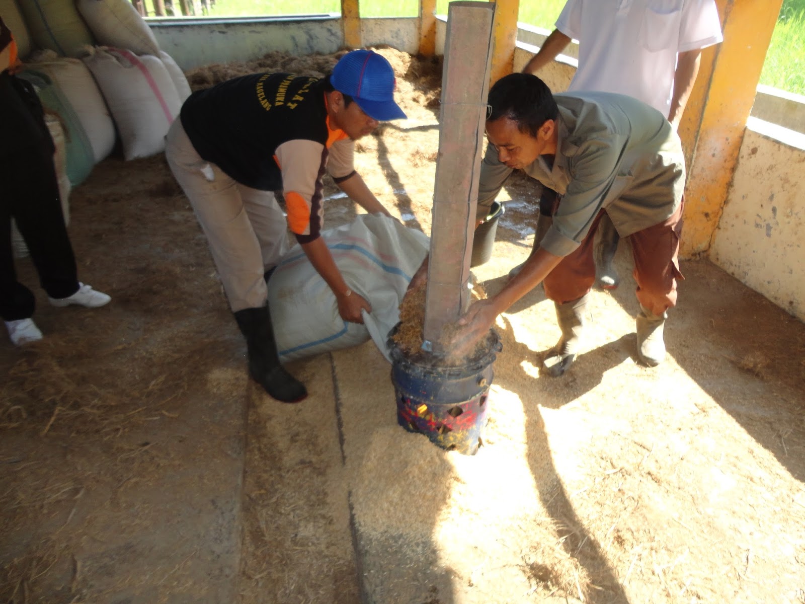 Jejak Penyuluh: Cara Membuat Arang Sekam
