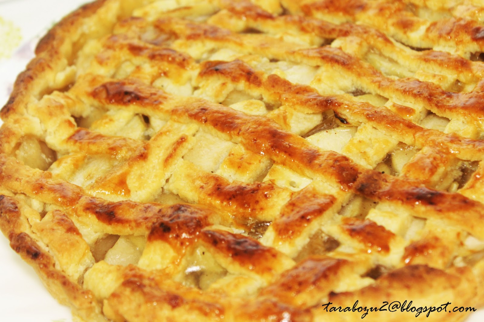 apple pai versi malaysia | AIR TANGAN ZUHAIDA