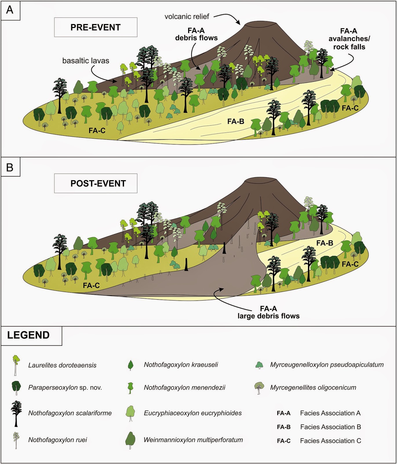 The Dragon's Tales: The Paleoenvironment of Oligocene Paleogene Patagonia