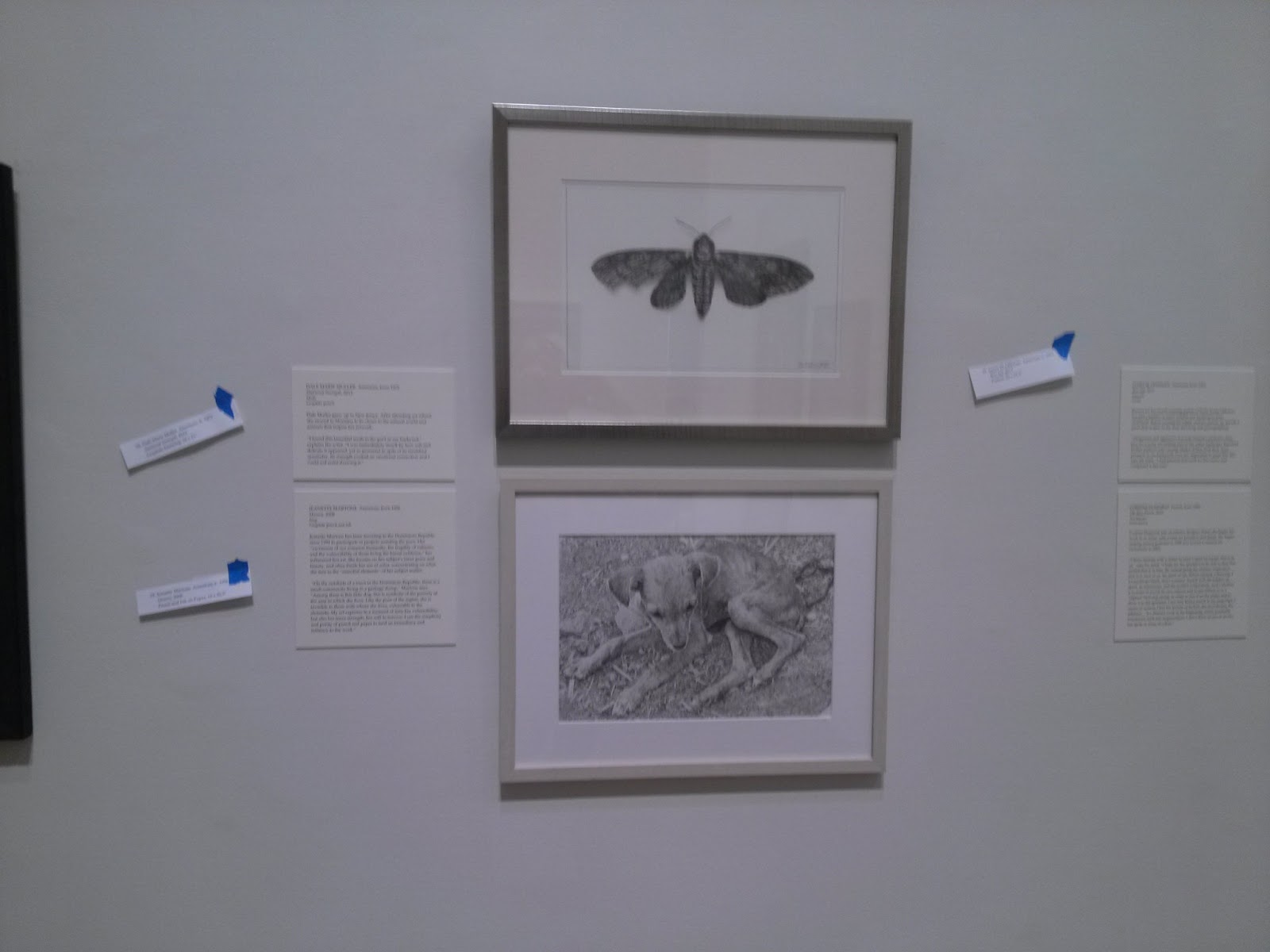 Art Museum Insider: Getting the Labels Right