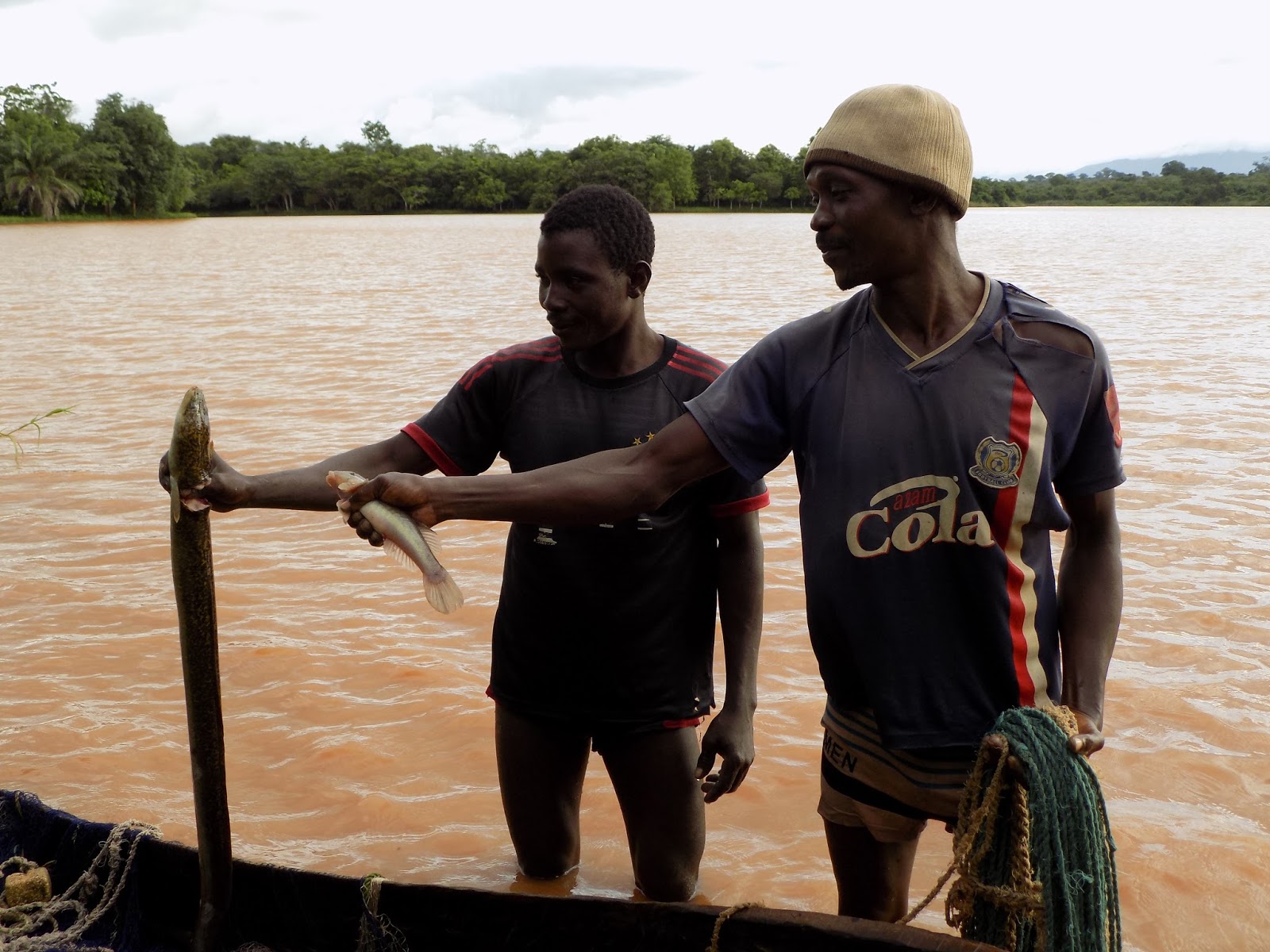 TANGA KUMEKUCHA: SAMAKI MKUNGA