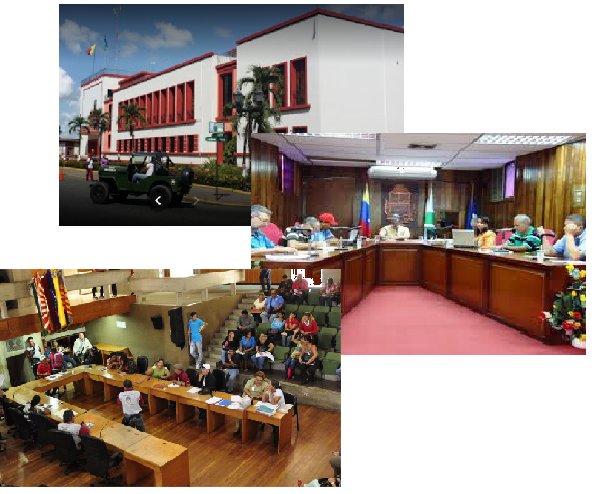 ORGANIZACIÓN ADMINISTRATIVA ESTADAL: Organización Administrativa Estadal