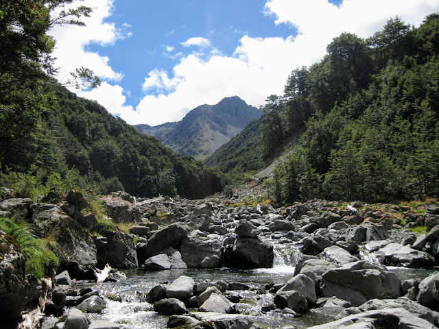 Tramping in the New Zealand backcountry: NZ Bush Adventures: East Hawdon