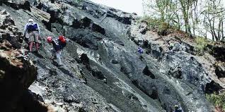 Arcopodo Legenda Semeru Tetap Milik Semeru - PLH Indonesia