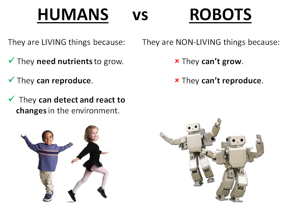 5th Grade - Andrés Segovia: UNIT 1: Living things and Vital Functions