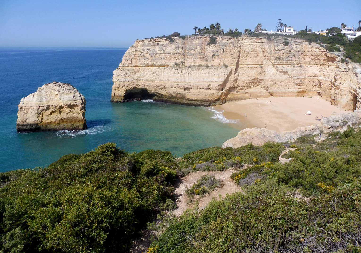 rocayflor: septiembre 2017