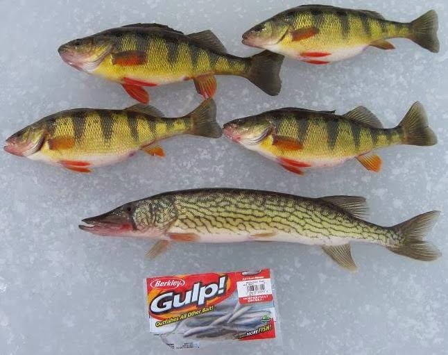 Fat Boy's Outdoors: Why Do You Love to Ice Fish? i.e. Why I love to Ice ...