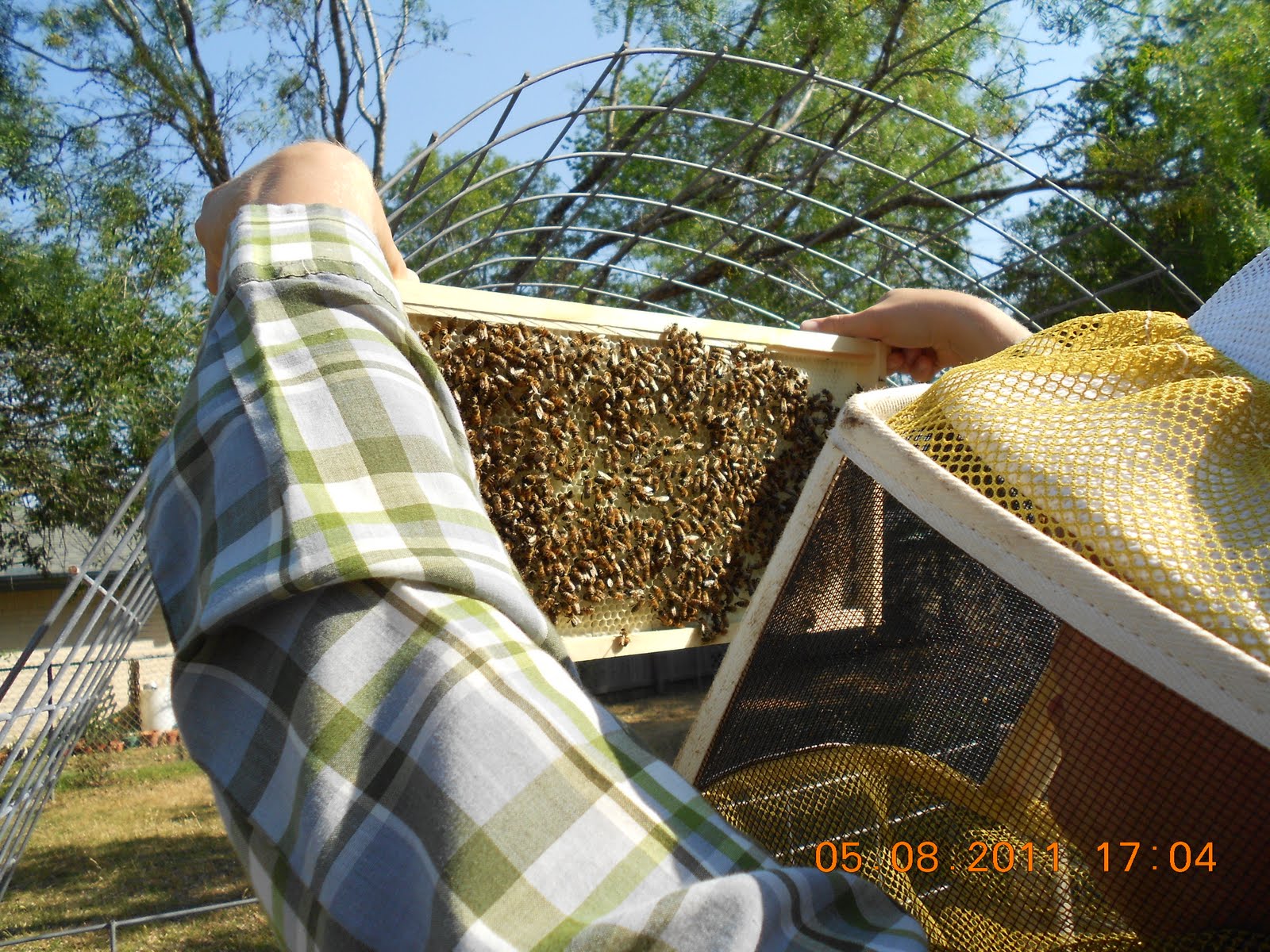 Lehmann Beekeeping and Apiary