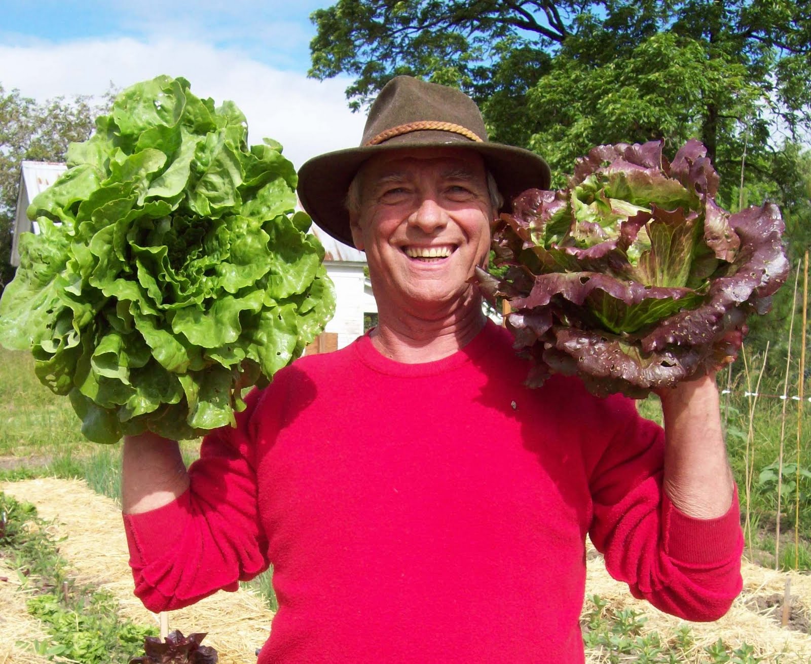 The Sharing Gardens : We Can Use Your Spoiled Hay and Straw!