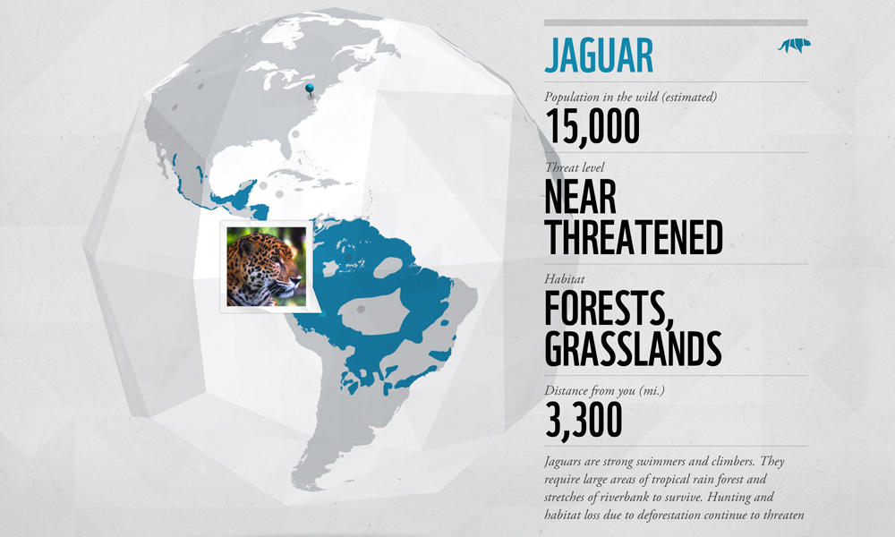 Great Kid Books: WWF Together - brilliant app for animal lovers, young ...