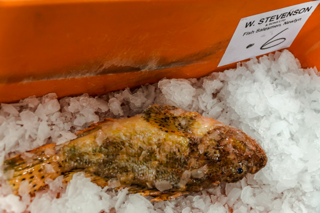 Through the Gaps! - Newlyn Fishing News: Mid-week fish market in Newlyn ...