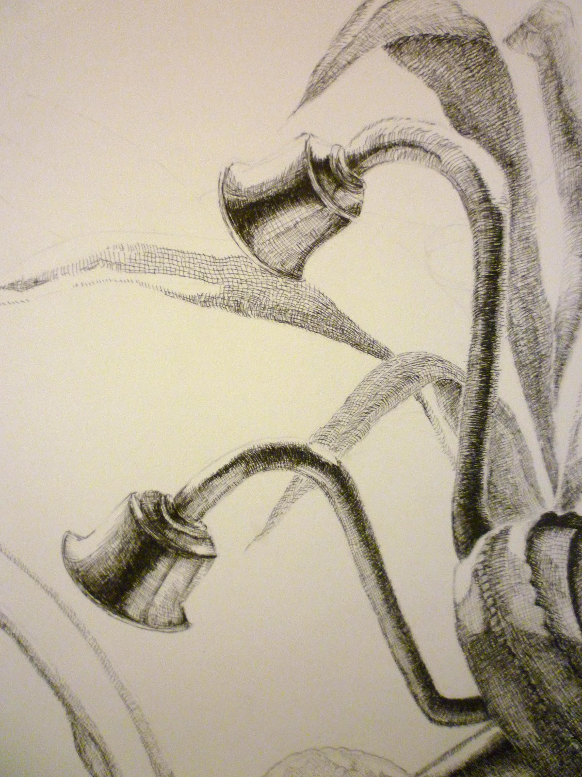 UM Drawing Tutorials: Value and Crosshatching UM Drawing Tutorials: Value and Crosshatching
